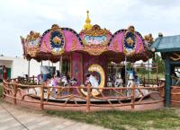 China Amusement Park Kiddie Fair Rides Carousel 24 Seats 380V Wear Resistant for sale