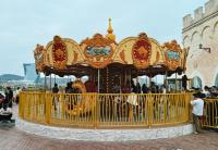 China Amusement Park Kiddie Fair Rides Carousel 24 Seats 380V Wear Resistant for sale