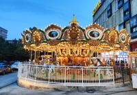 China Family Oriented Amusement Ride Carousel Luna Park Kiddie Rides For Carnivals And Fairgrounds for sale