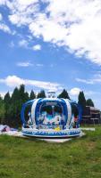 China Outdoor 12 Seat Kiddie Amusement Park Rides Carousel Ice Snow Crown Design for sale