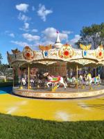 China ODM Indoor 24 Seat Amusement Ride Carousel Horse Merry Go Round 23W for sale