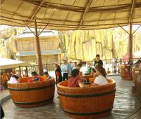 China ODM 36 Seat Barrel Teacup Amusement Park Ride Equipment 8km/h for sale