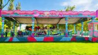China 30 Seat Kiddie Roller Coaster Ride 15kW 380V Entertainment Equipment for sale