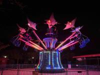 China 24-passenger Crazy Manta Ray for sale