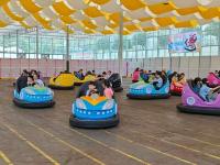 China Commercial Fairground Amusement Ride Bumper Car 230W Anti Collision for sale