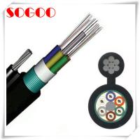 China GYFXTC8 250μM 12 24 Core Armoured Fiber Optic Cable for sale