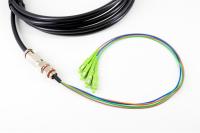 China 4 6 8 12 24 36 Core Outdoor Waterproof Armoured Fiber Optic Pigtail Patch Cord for sale