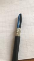 China Panyu 2 X 6mm2 Base Station Cable Shield Cable Za-Rvvp 300v / 600v IEC 60332-1 for sale