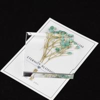 China Flexible Clear Plastic Sheets 4x8 Order Plexiglass Online Perspex Sheeting for sale