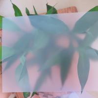China ODM Frosted Plastic Acrylic  Sheet Panel A4 For Binding Cover for sale