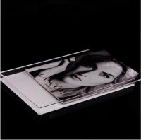 China Custom Transparent Plastic Acrylic Sheet Slatwall Brochure Holders Cast Display for sale