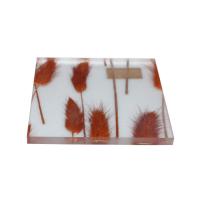 China Synthetic Frosted Acrylic Sheet 4x8 Plexiglass Panel Color Casting for sale