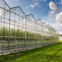 China Clear Roofing Polycarbonate Panels Sheet For Greenhouse Construction for sale