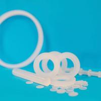 China High Performance PCTFE Sealing Solutions Engineered For Extreme Temperature And Chemical Resistance for sale
