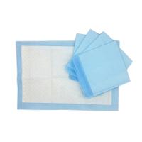China High Absorbency Disposable Pet Pads 15g-70g with SAP Core in 4 Sizes 450x300mm to 600x900mm for sale