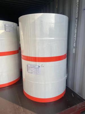 China High Capacity Fluff Pulp Raw Material 1400x480mm for Diaper Manufacturing - Virgin Wood Pulp for sale