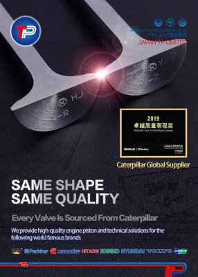 China T4233393 Intake And Exhaust Valves for sale