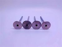 China DOOSAN Intake And Exhaust Engine Valve for sale