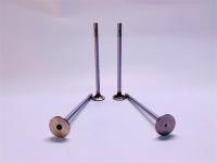 China OEM Anticorrosive Diesel Engine Valve 163-2442 188-3122 Fit  C-9 for sale