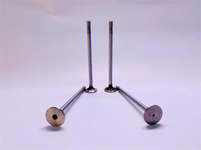 China OEM Anticorrosive Diesel Engine Valve 163-2442 188-3122 Fit  C-9 for sale