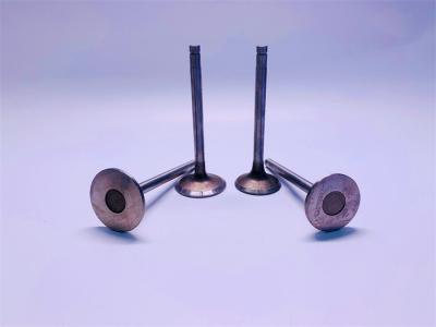 China 1-12551126-0 Inlet And Exhaust Valve 1-12552063-0 For ISUZU 6SD1 for sale