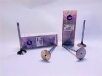 China Antiwear 3924492 3921444 Diesel Engine Valve For KOMATSU 6D114 DI Cummins 6CT8.3 DI for sale
