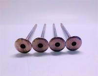 China 4926069 3417779 Diesel Engine Valve Intake And Exhaust For Cummins QSM11 for sale