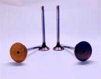 China Mitsubish 6D24 6D22 Diesel Engine Valve Inlet Exhaust ME051696 ME051697 for sale
