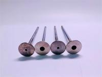 China 04303319 04303320 VOLVO Engine Valve Anti Corrosion For VOLVO D12D for sale