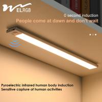 China 3500K 4100K 6000K Motion Sensor Closet Light Led Wardrobe Lights With Sensor for sale