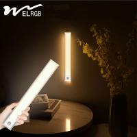 China 6000K Rechargeable Closet Light 65-160LM Motion Sensor Wardrobe Light for sale