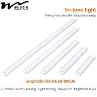 China 6000K Rechargeable Closet Light 65-160LM Motion Sensor Wardrobe Light for sale