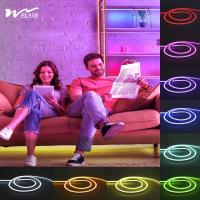 China 1.64ft/0.5m 2700k Led Strip Dimmable Led Rope Lighting 120V Indoor Outdoor for sale
