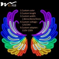 China 2023 Factory Custom 2.8mm Wide  IP65 Waterproof DC12V 24V Digital Smart  RGB COB LED Strips Light For Car Home Hotel Dec for sale