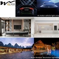 China 2023 Factory Custom 2.8mm Wide  IP65 Waterproof DC12V 24V Digital Smart  RGB COB LED Strips Light For Car Home Hotel Dec for sale