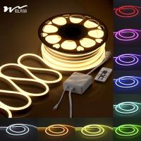China 120leds Dimmable LED Strip 6000K Dimmable Led Rope Lights With Remote for sale