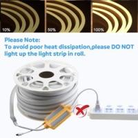 China 120leds Dimmable LED Strip 6000K Dimmable Led Rope Lights With Remote for sale