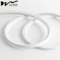 China Embedded Silicone Sleeve Neon Led Strip 12V 24V Led Strip Dimmable for sale