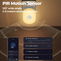 China Oval Tuya Pir Sensor Night Light Bathroom Motion Sensor Night Light for sale
