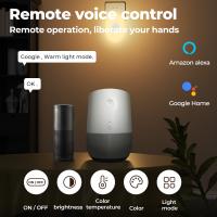 China Oval Tuya Pir Sensor Night Light Bathroom Motion Sensor Night Light for sale