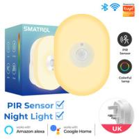 China Oval Tuya Pir Sensor Night Light Bathroom Motion Sensor Night Light for sale