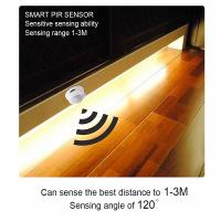 China 1M 2M 3M PIR Sensor Led Strip Light IP65 Waterproof For Indoor Home for sale
