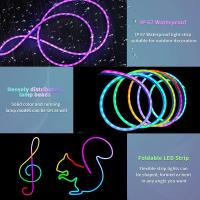 China Bluetooth Tuya Dimmable LED Strip 2000mm 3000mm Led Neon Flex RGB for sale
