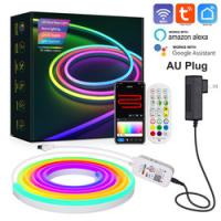 China Bluetooth Tuya Dimmable LED Strip 2000mm 3000mm Led Neon Flex RGB for sale
