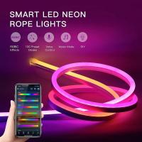 China 5m RGB LED Neon Strip WS2811 Neon Flex RGB 24V IP67 Outdoor for sale