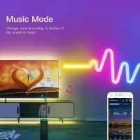 China 5m RGB LED Neon Strip WS2811 Neon Flex RGB 24V IP67 Outdoor for sale