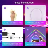 China 5m RGB LED Neon Strip WS2811 Neon Flex RGB 24V IP67 Outdoor for sale