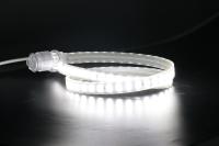 China Best Seller IP68 Waterproof Led Swimming Pool Lighting 12v Tape Light Flexible Dotless Dob Silicon Light Led Strip Cob L for sale