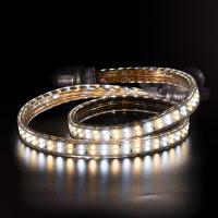 China IP68 6500K Led Rope Light White And Warm White Led Strip Lights For Ceiling for sale