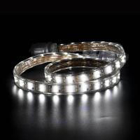 China IP68 6500K Led Rope Light White And Warm White Led Strip Lights For Ceiling for sale
